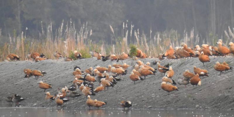 Two more wetlands in India make it to ‘Ramsar list’ | wetlands ...