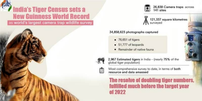 Guinness record for India’s tiger census | forest | tiger | wildlife