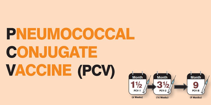 Explainer / Pneumococcal Conjugate Vaccine (PCV) | Mission Indradhanush ...