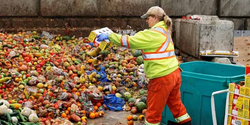 931 million tonnes of food wasted globally in 2019 | unep | climate ...