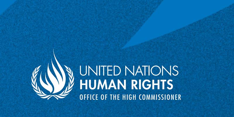 OHCHR urges Taliban to reverse restrictions on women | United Nations ...