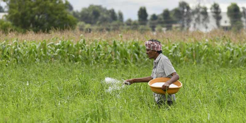 Explainer / Initiatives to boost urea sector | farmer | agriculture ...