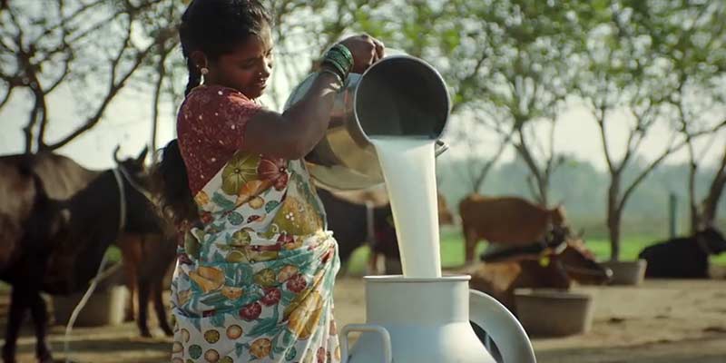 India accounts for 23% of global milk production | farmers ...