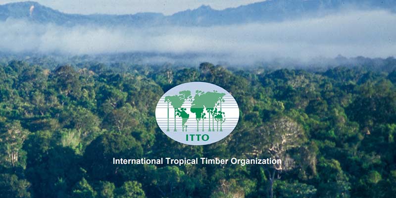 Explainer - International Tropical Timber Organisation (ITTO)