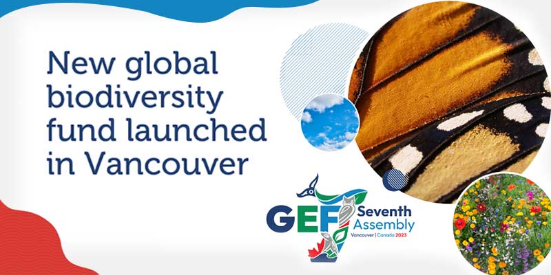 Global Biodiversity Framework Fund | GEF