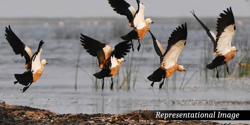 Ramsar Sites | Explained