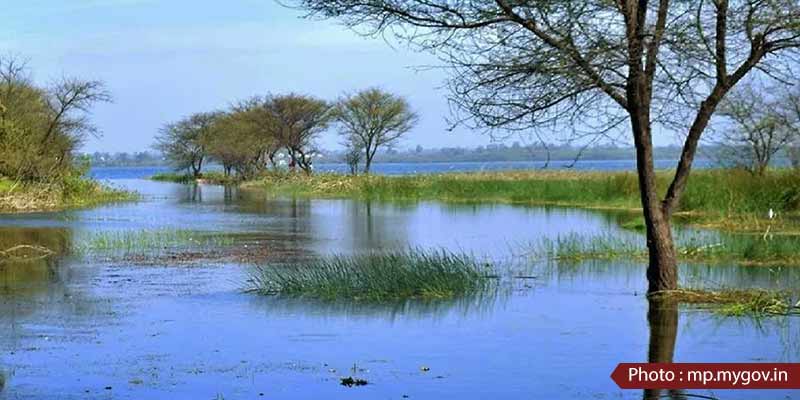 Ramsar Wetland City Accreditation
