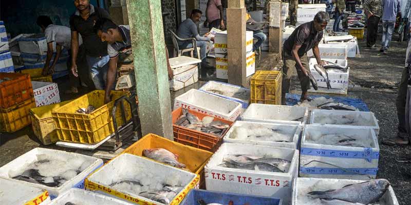 Fisheries and Aquaculture Infrastructure Development Fund (FIDF)