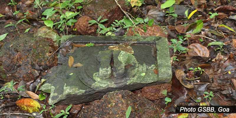 Biodiversity Heritage Sites in India | UPSC